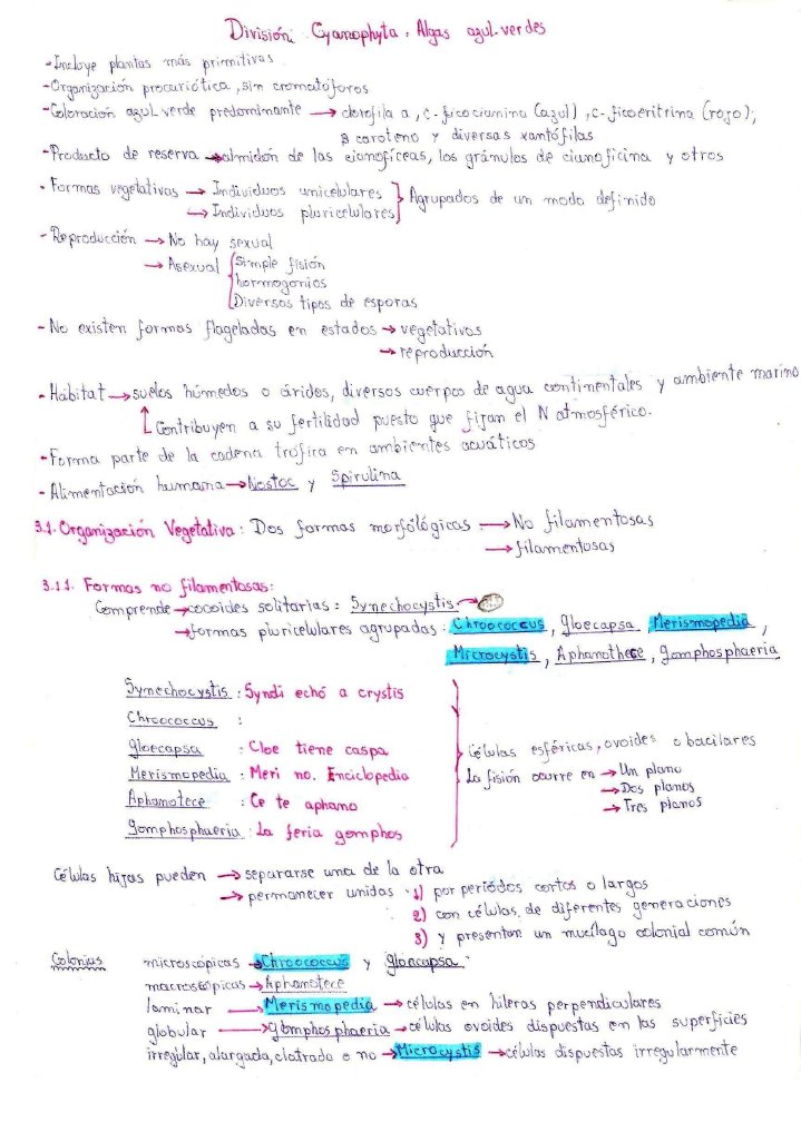 División Cyanophyta y Flumentes | PDF | Business | Naturaleza