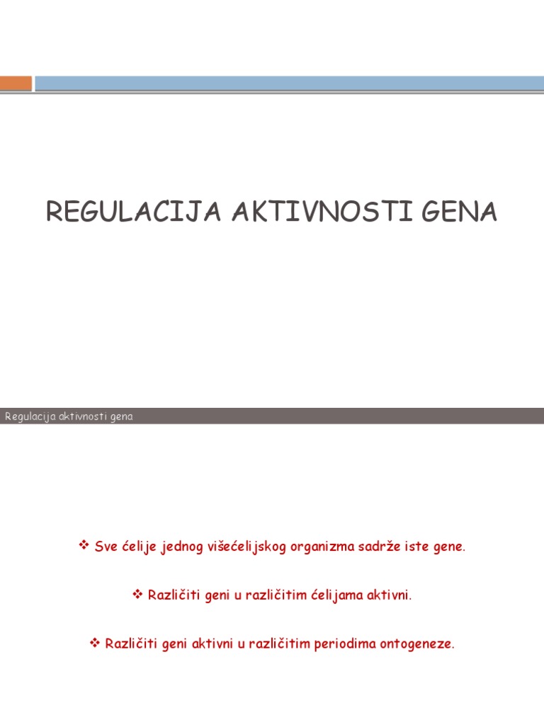 Regulacija Aktivnosti Gena | PDF