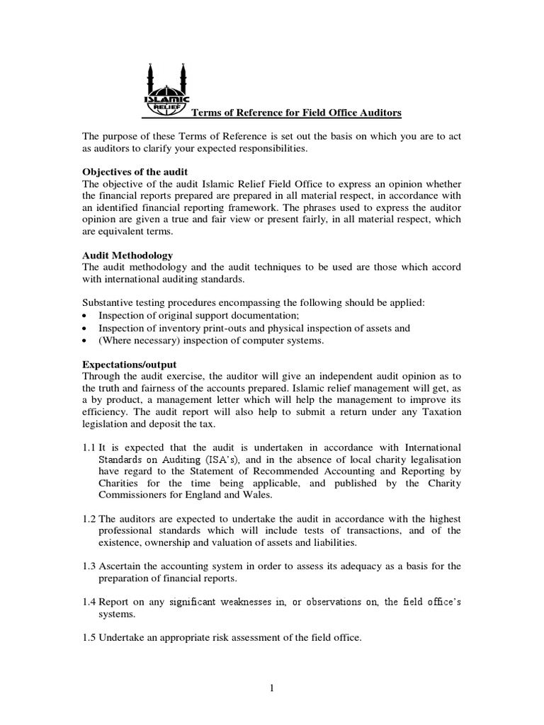 ToR Audit Tender | PDF | Audit | Financial Statement