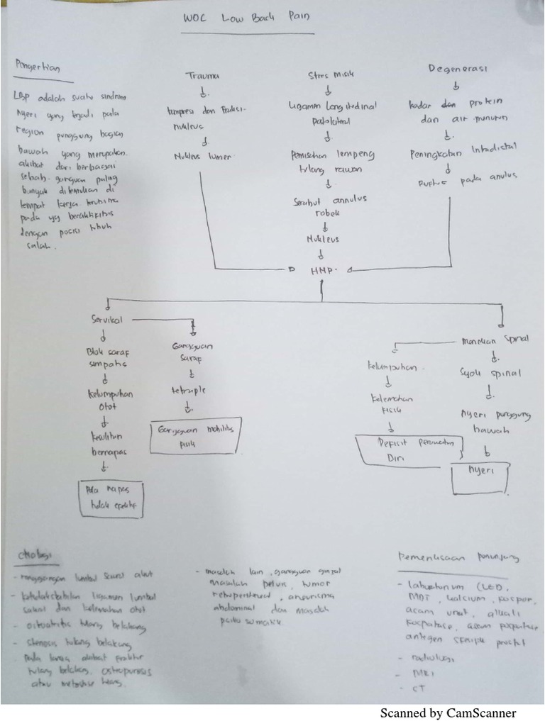 Minggu 4 - Woc - LBP | PDF
