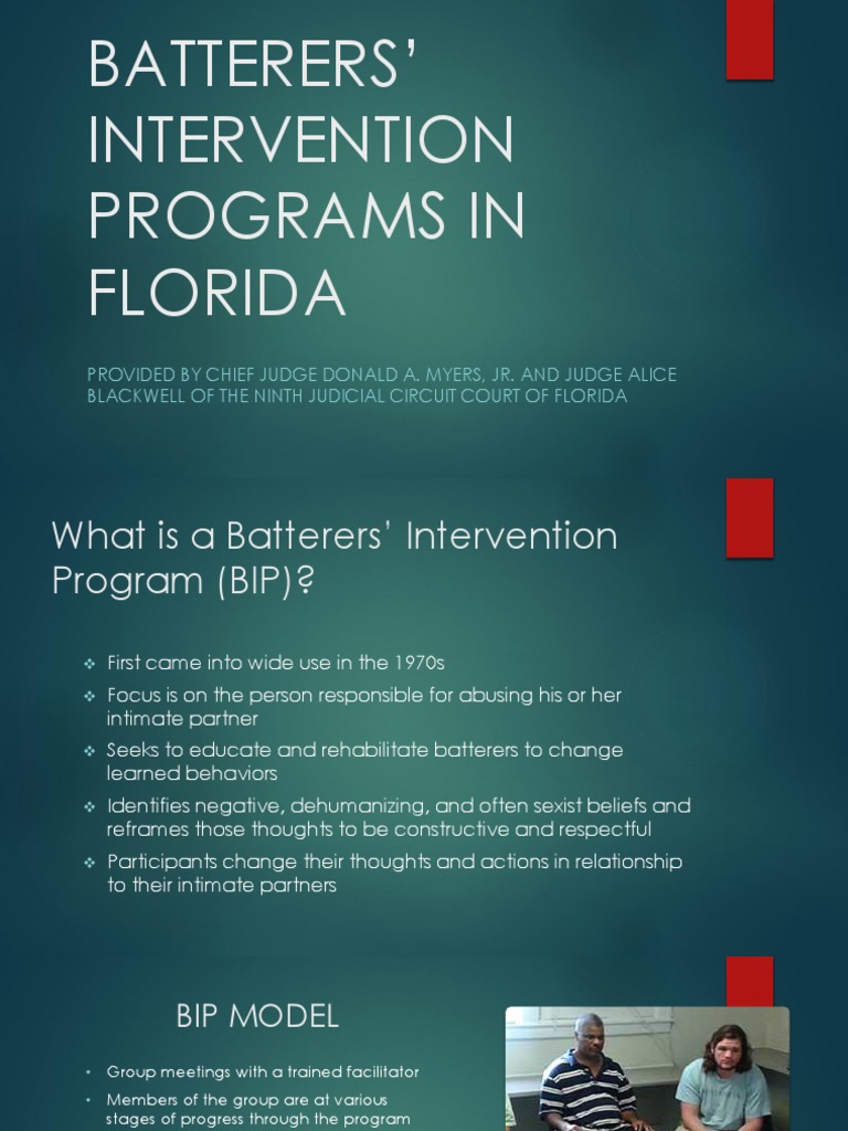 Batterers Intervention Programs in Florida | PDF | Domestic Violence ...
