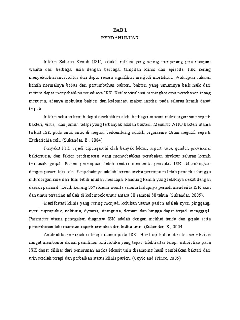 Laporan Kasus Isk | PDF