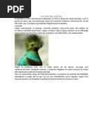Información sobre el quetzal guatemalteco | PDF | Aves | Ornitología