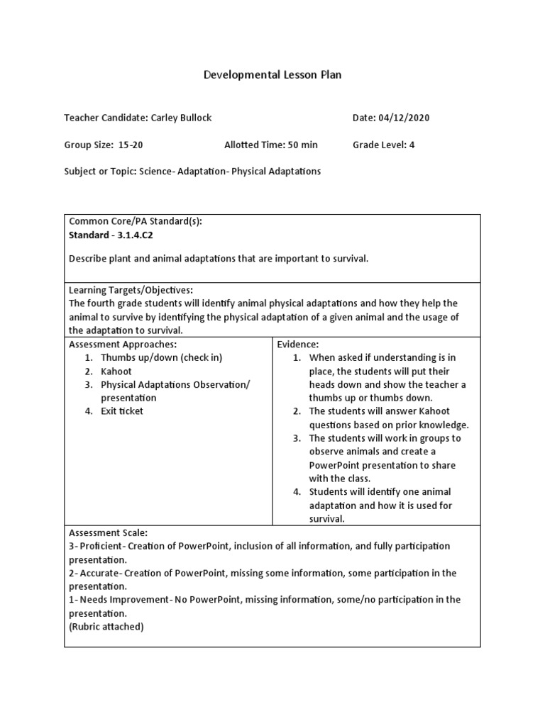 Day 4 Lesson Plan | PDF | Educational Assessment | Adaptation