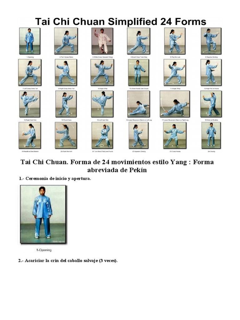 24 Formas Del Tai Chi Chuan | PDF