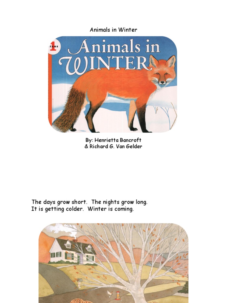 Animals in Winter: By: Henrietta Bancroft & Richard G. Van Gelder | PDF ...