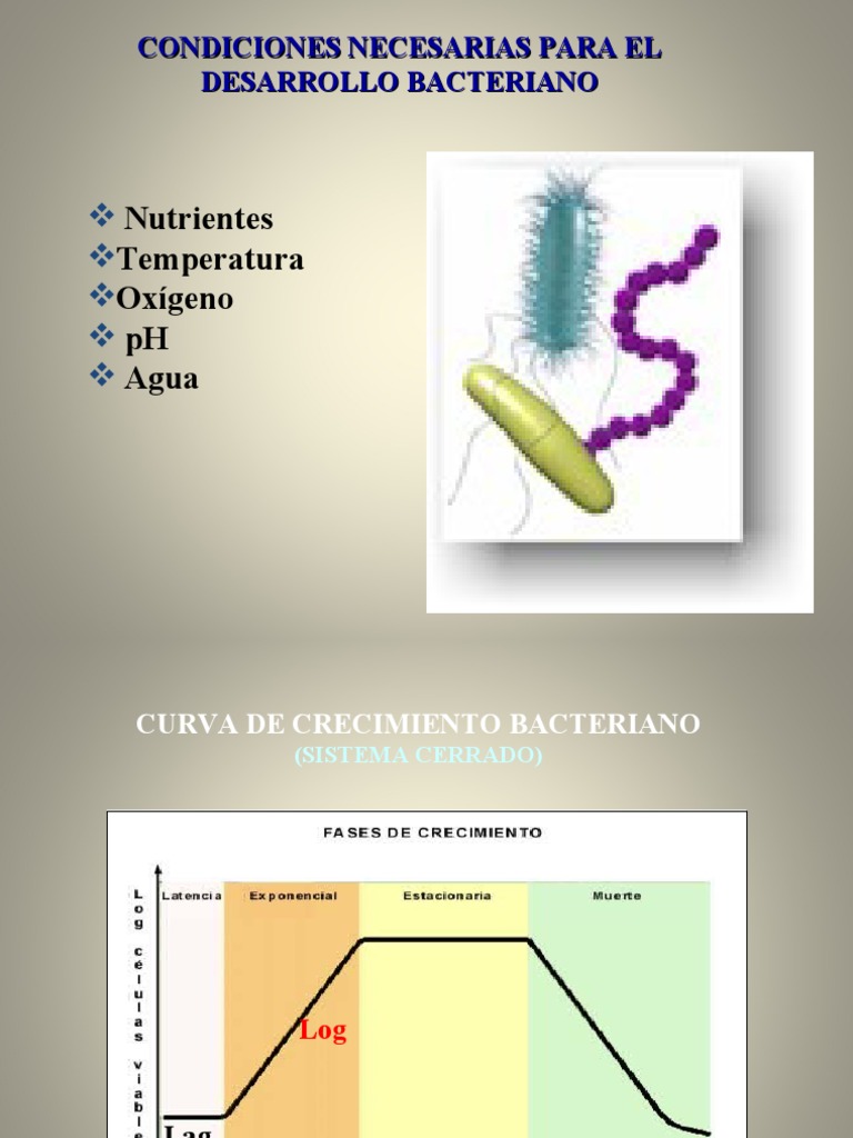 Fases y Condiciones del Crecimiento Bacteriano | PDF | Biología ...