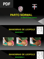 Maniobras en el Parto: Técnicas Clave | PDF | Pelvis | Parto