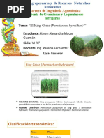 Ficha Técnica Del Pasto Imperial (Axonopus Scoparius, Hitchc) | PDF ...