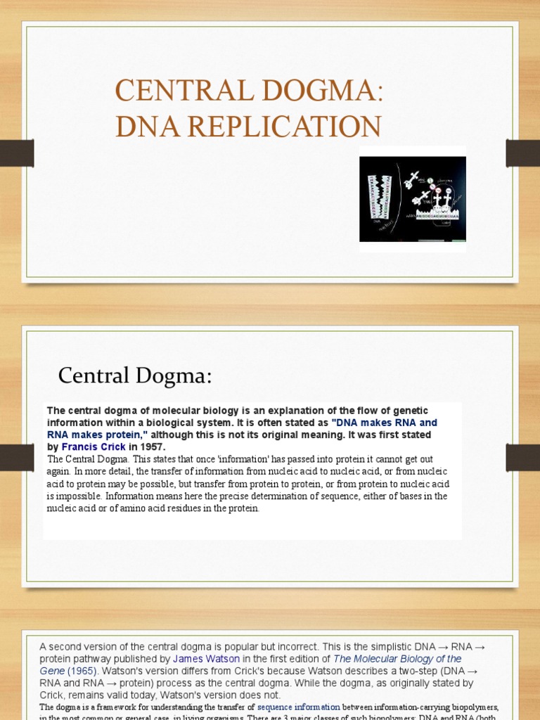 Central Dogma: Dna Replication | PDF | Dna Replication | Translation ...