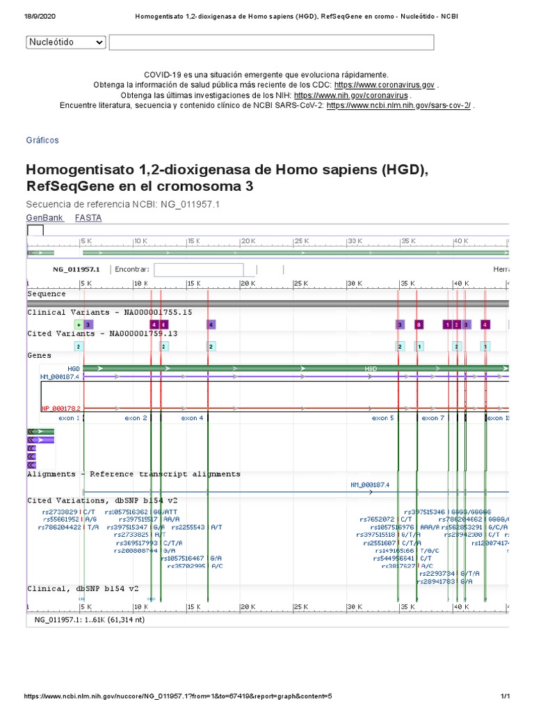 Homogentisato 1,2-Dioxigenasa de Homo Sapiens (HGD), RefSeqGene en Cromo - Nucleótido - NCBI | PDF