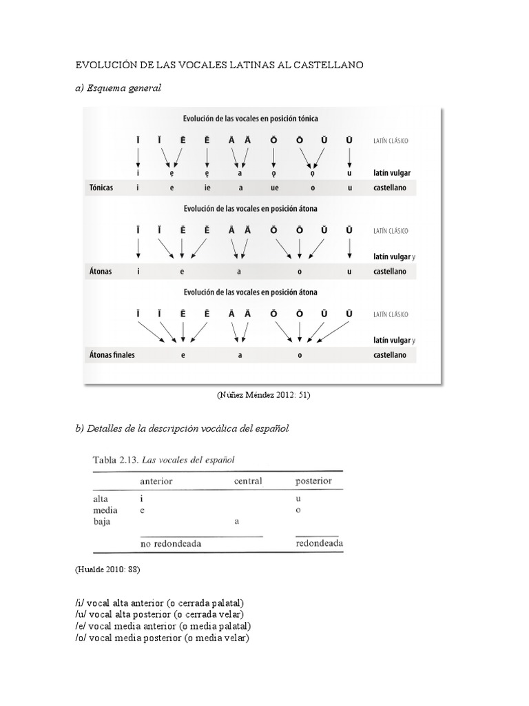 Evolución Vocálica del Latín al Español | PDF