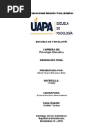 Prueba Pip | PDF | Cognición | Sicología