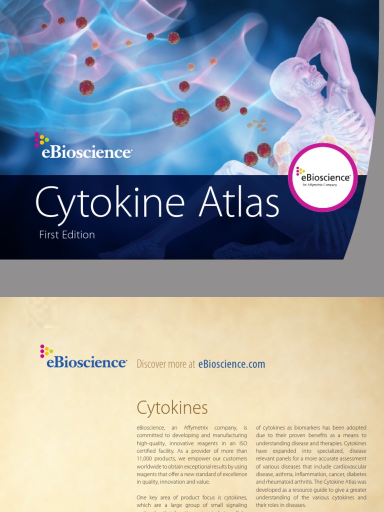 Cytokines Booklet | PDF | T Helper Cell | Interleukin 4