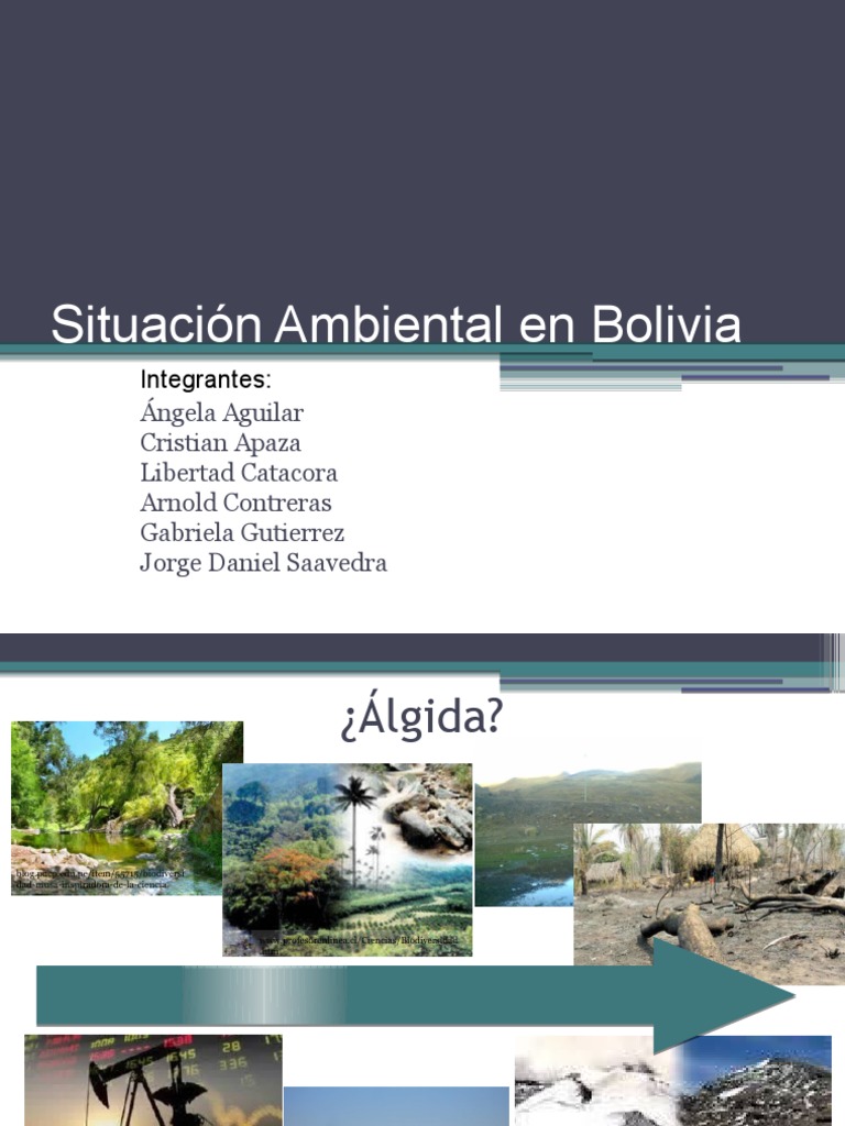 Situacion Ambiental de Bolivia | PDF | Organización no gubernamental ...