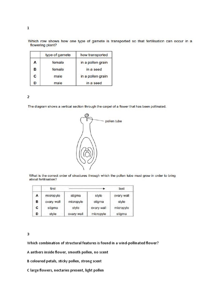 Worksheet Pollination and Fertilization | PDF | Petal | Flowers