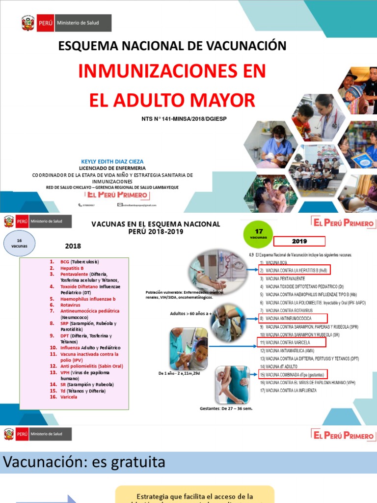 Vacuna Neumococo en Adulto Mayor PDF | PDF | Vacunas | Inmunología