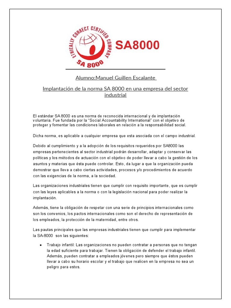 Implantación de La Norma SA 8000 en Una Empresa Del Sector Industrial ...