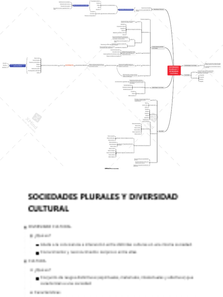Mapa Conceptual y Esquema Tema 2 | PDF | Multiculturalismo | Interculturalidad