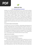 Tea Pruning Techniques and Objectives | PDF | Pruning | Leaf