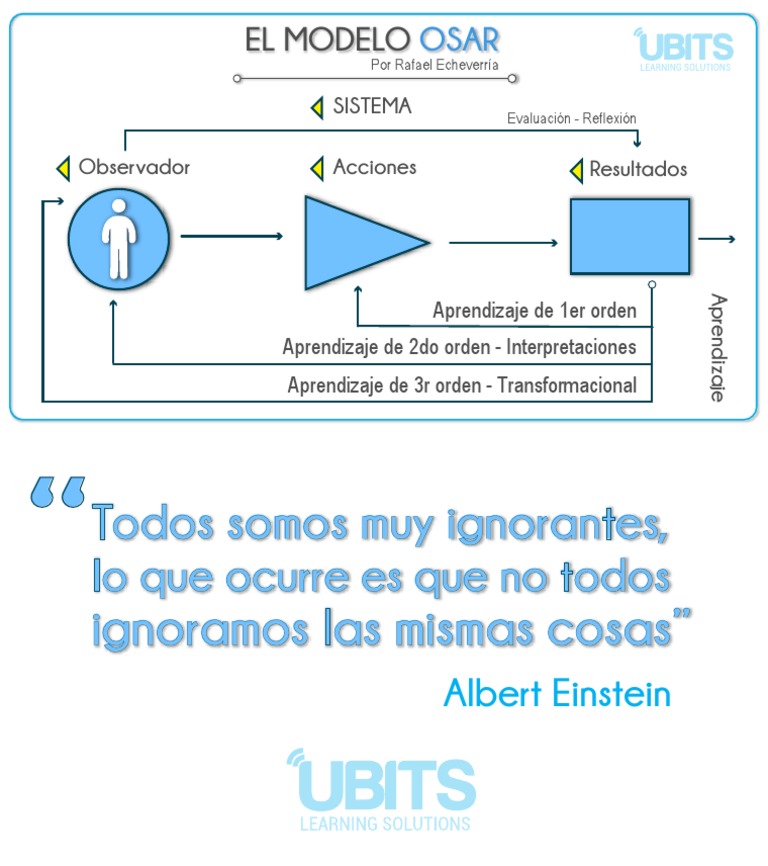 Modelo OSAR | PDF | Ciencia y matemáticas