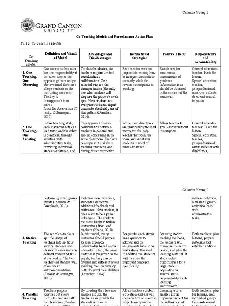 Co-Teaching Models and Paraeducator Action Plan-C. Young | PDF ...
