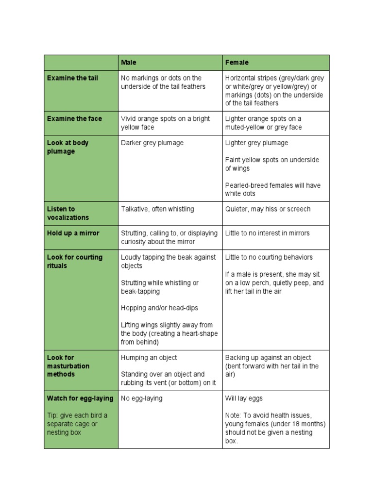 Cockatiel Parison Chart Pdf Dinosaurs Paravians
