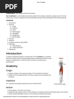 Wrist Isometric Exercise Program | PDF | Anatomical Terms Of Motion | Hand