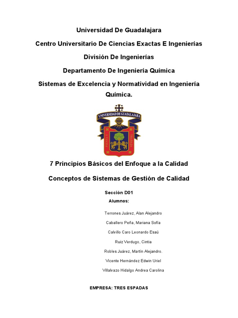 7 Principios Básicos de la Calidad | PDF | Sistema de manejo de calidad ...