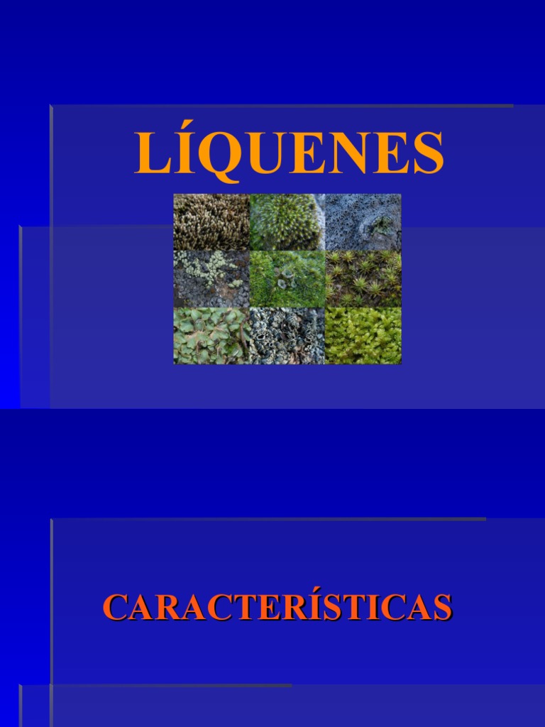 Talofitas LÍQUENES | PDF | Hongo | Eucariotas