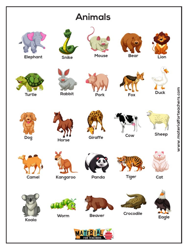 Animals: Elephant Mouse Snike Bear Lion | PDF