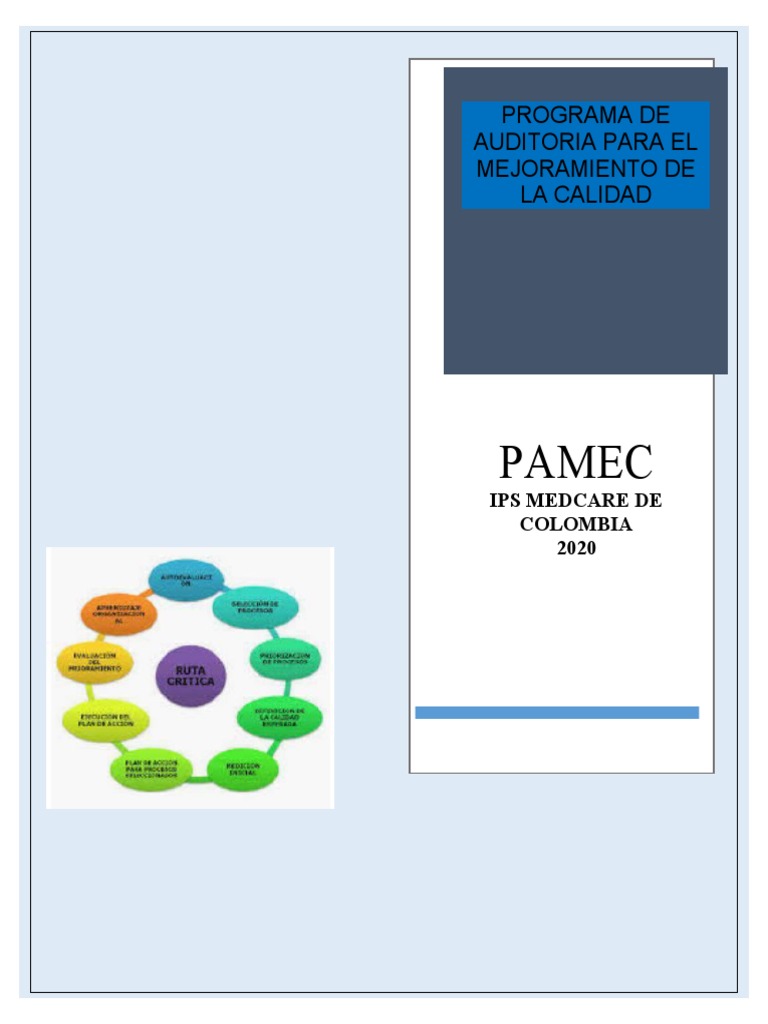 Programa Pamec 2020 | PDF | Calidad (comercial) | Auditoría