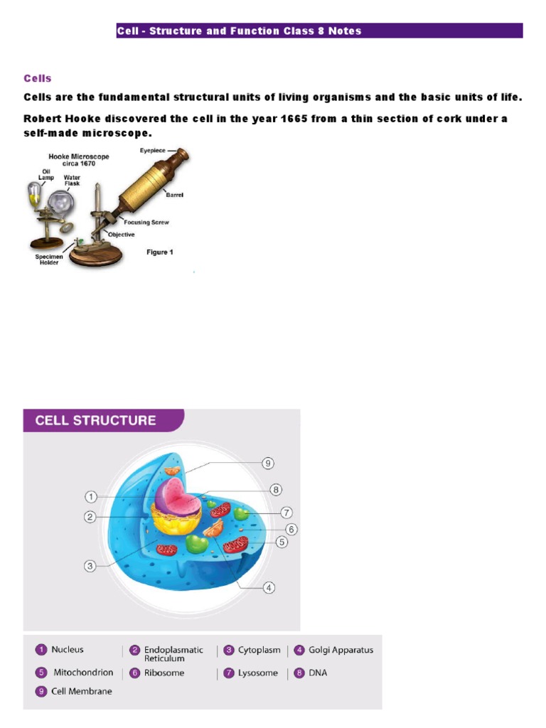 Cell - Structure and Function Class 8 Notes: Cells | PDF | Cell Nucleus ...