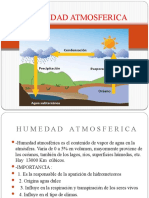 LITOSOLES | PDF | Suelo | Roca (geología)