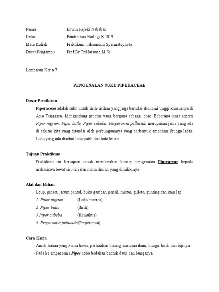 Laprak 7 Piperaceae | PDF