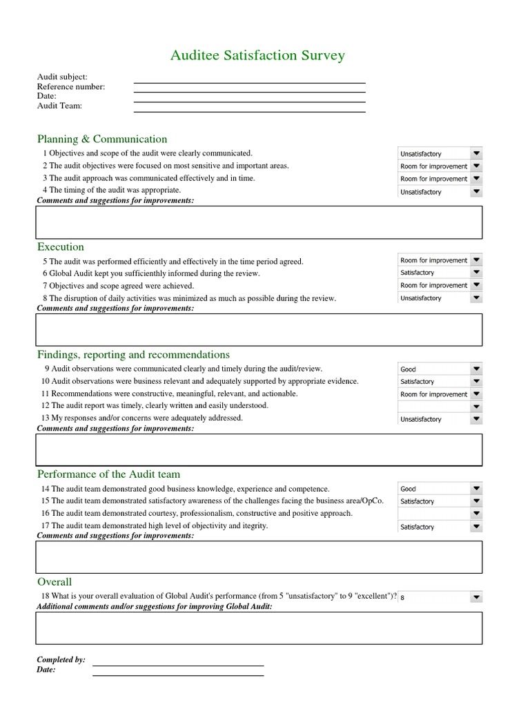 Auditee Satisfaction Survey Template | PDF | Career & Growth | Business