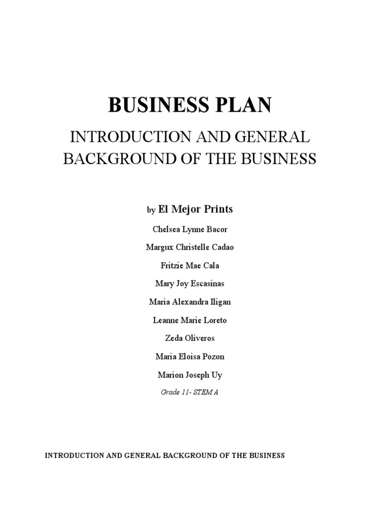 Business Plan: Introduction and General Background of The Business ...