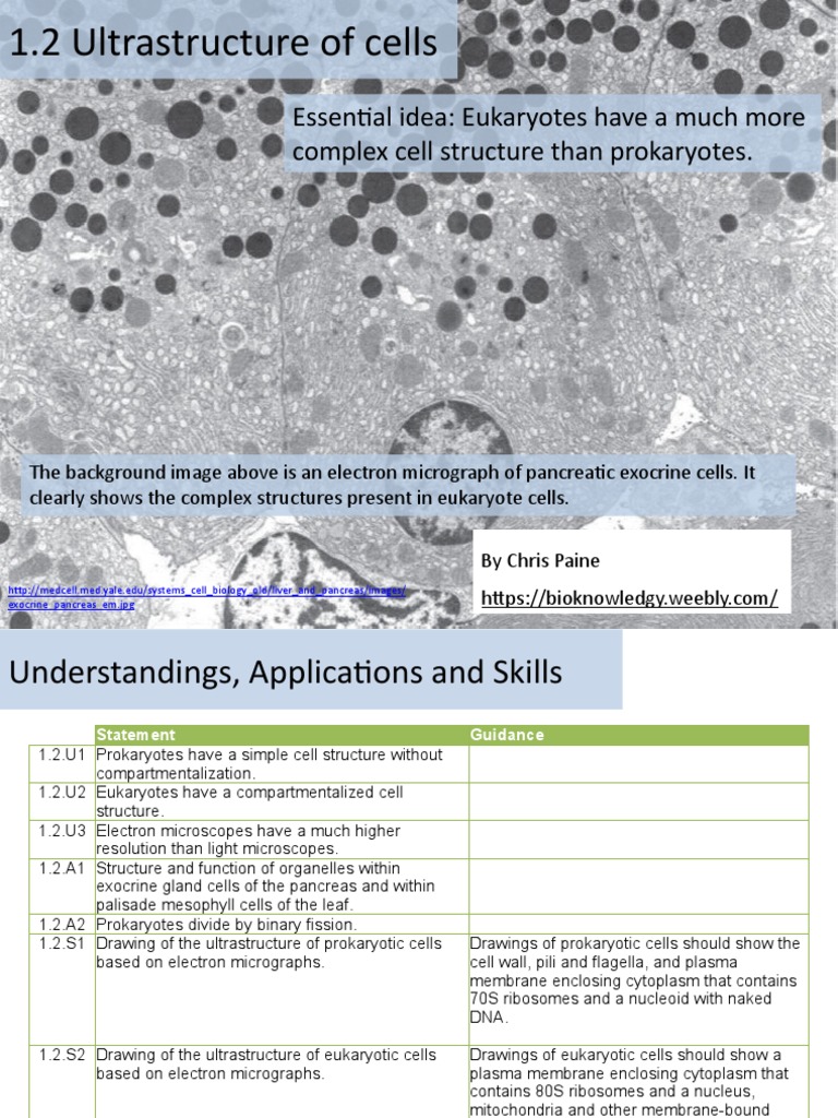 1.2 Ultrastructure of Cells | PDF | Endoplasmic Reticulum | Cell (Biology)