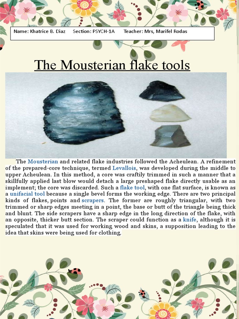 The Mousterian Flake Tools: Levallois Technique and Principal Kinds | PDF