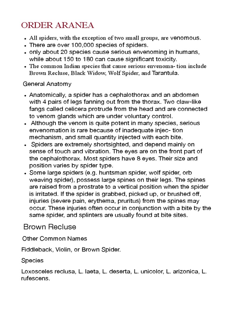Order Aranea: Brown Recluse | PDF | Neuromuscular Junction | Spider