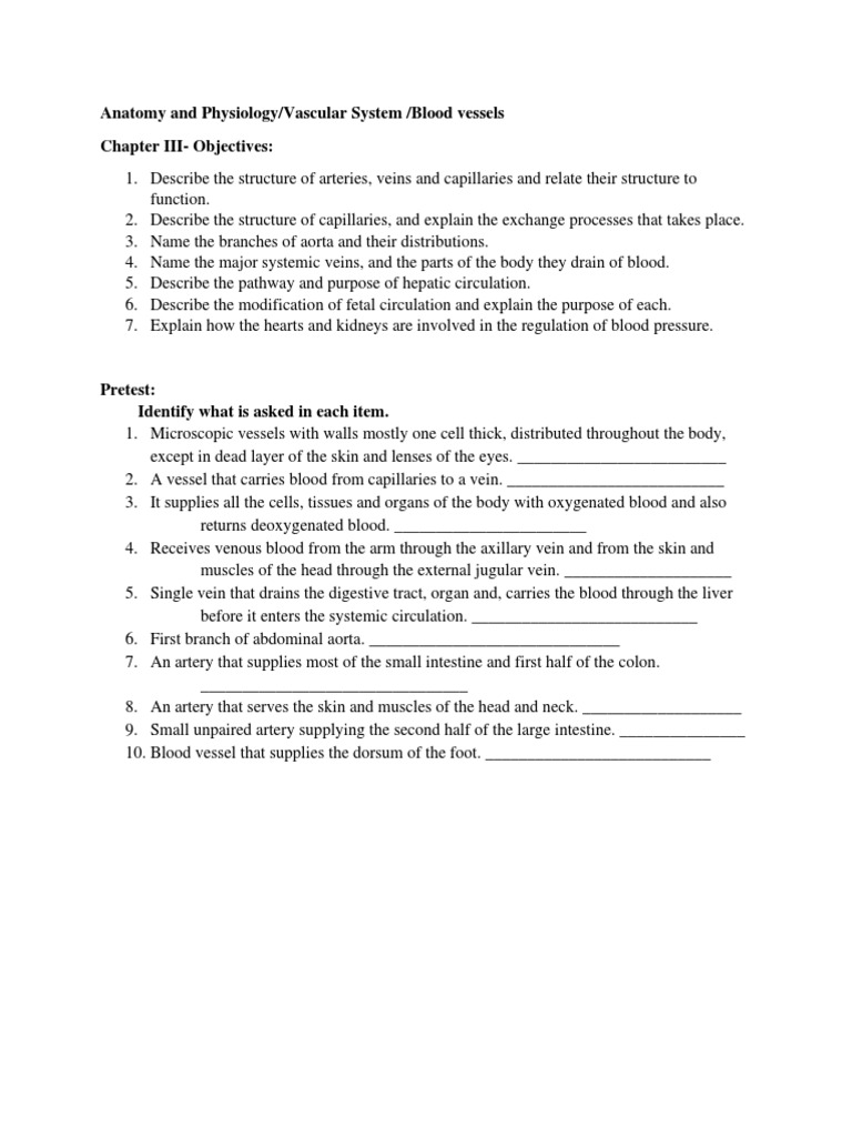 Ap - Blood Vessels | PDF | Circulatory System | Vein