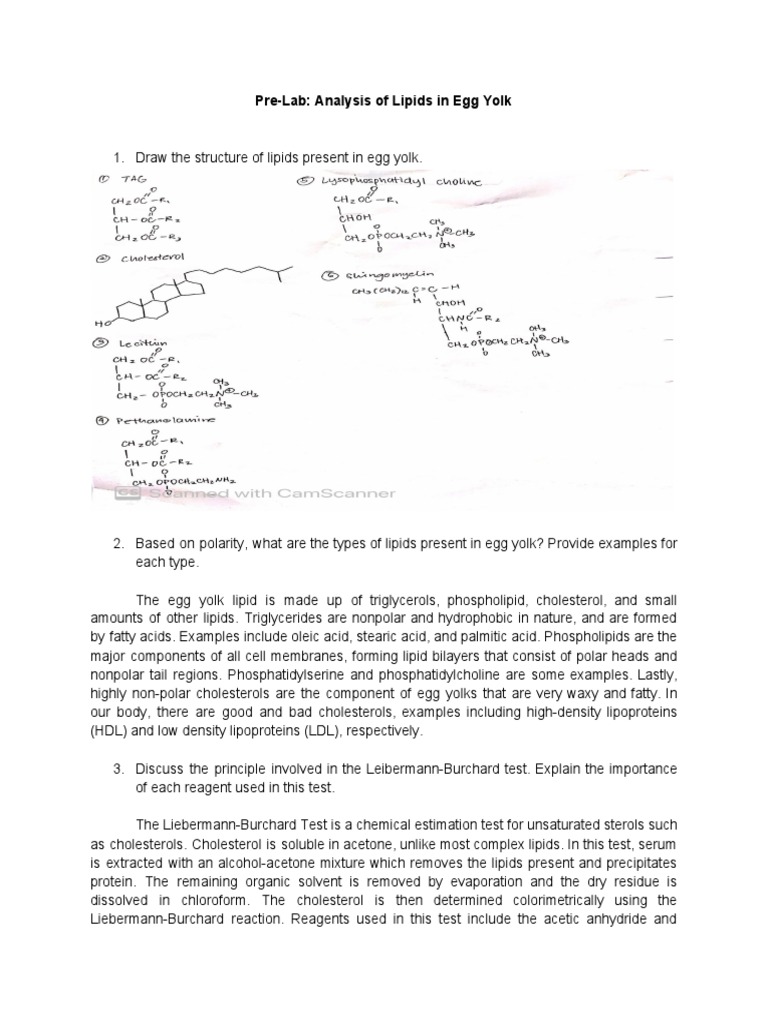 Pre-Lab: Analysis of Lipids in Egg Yolk | PDF