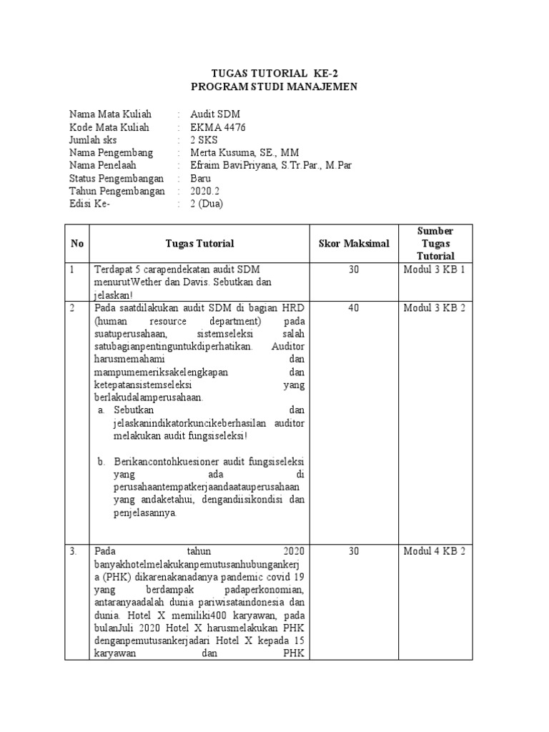 Tugas 2 Audit SDM 2020 | PDF