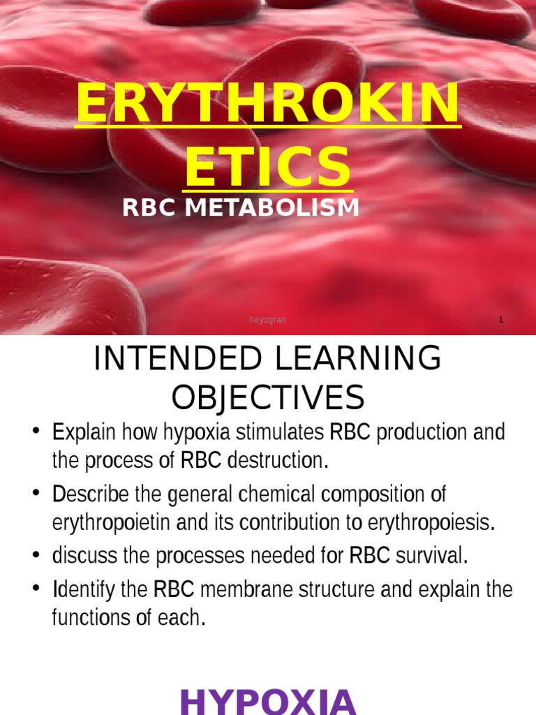 LEC 5 RBC METABOLISM AND Membrane Structure | PDF | Red Blood Cell ...
