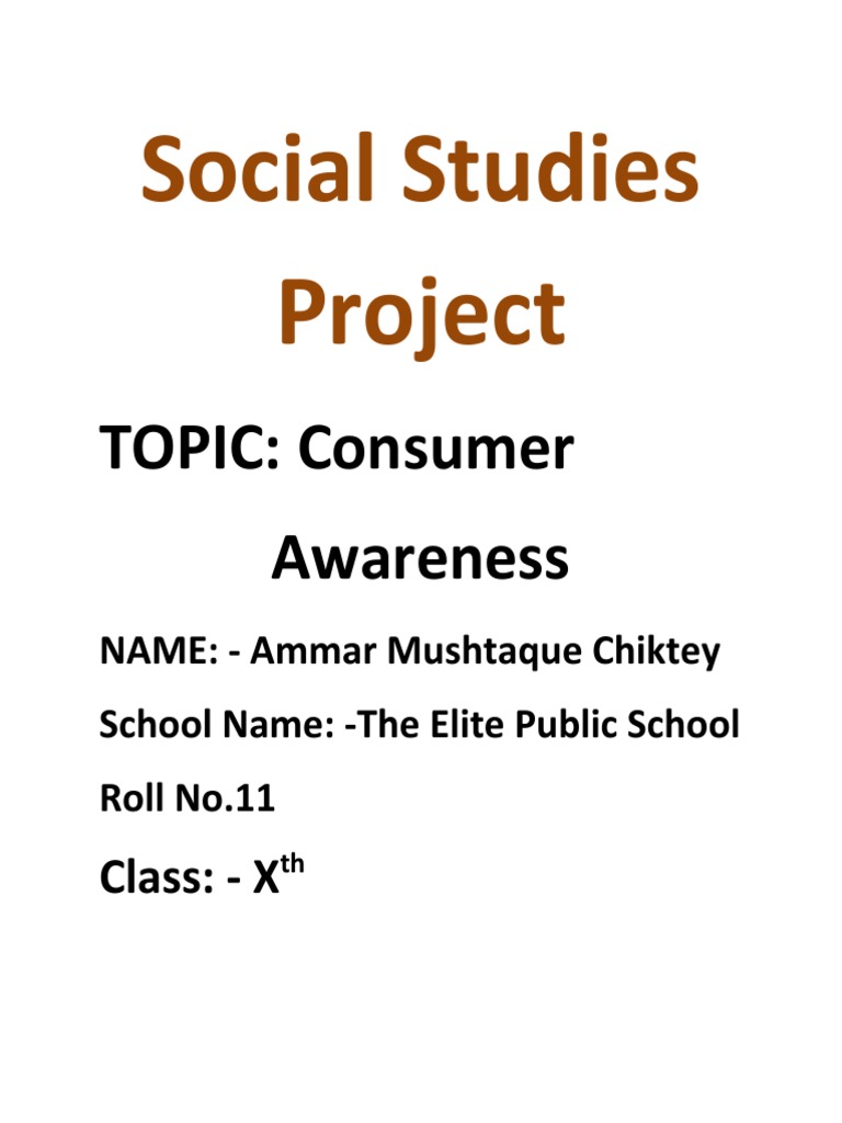 Social Studies Project | PDF | Consumer Protection | Economies