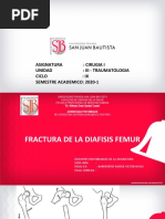 Visi Disi | PDF | Mano | Sistema musculoesquelético