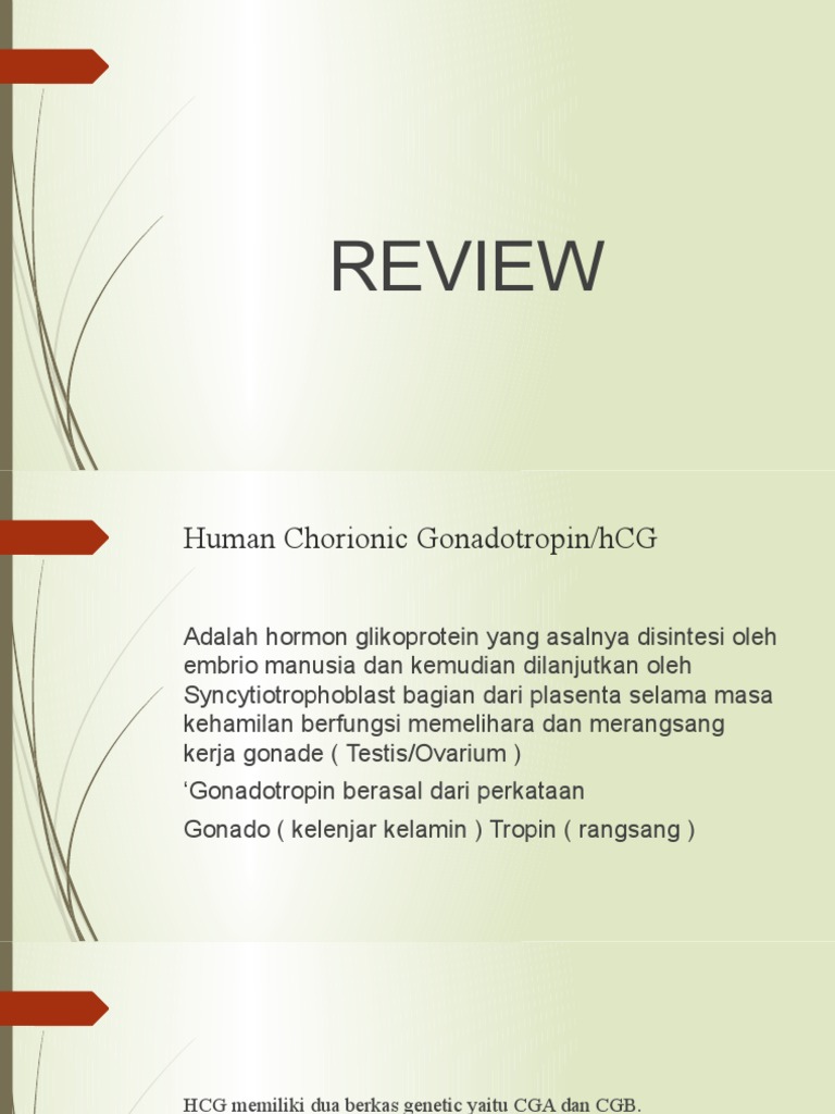 Hormon HCG | PDF