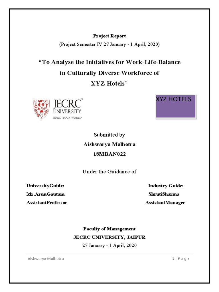 Project Report Sample | PDF | Work–Life Balance | Employment