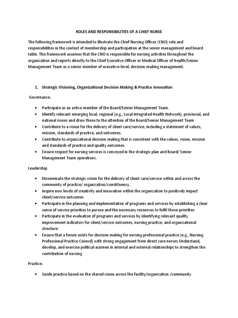Chief Nursing Officer Roles and Duties | PDF | Nursing | Evidence Based ...