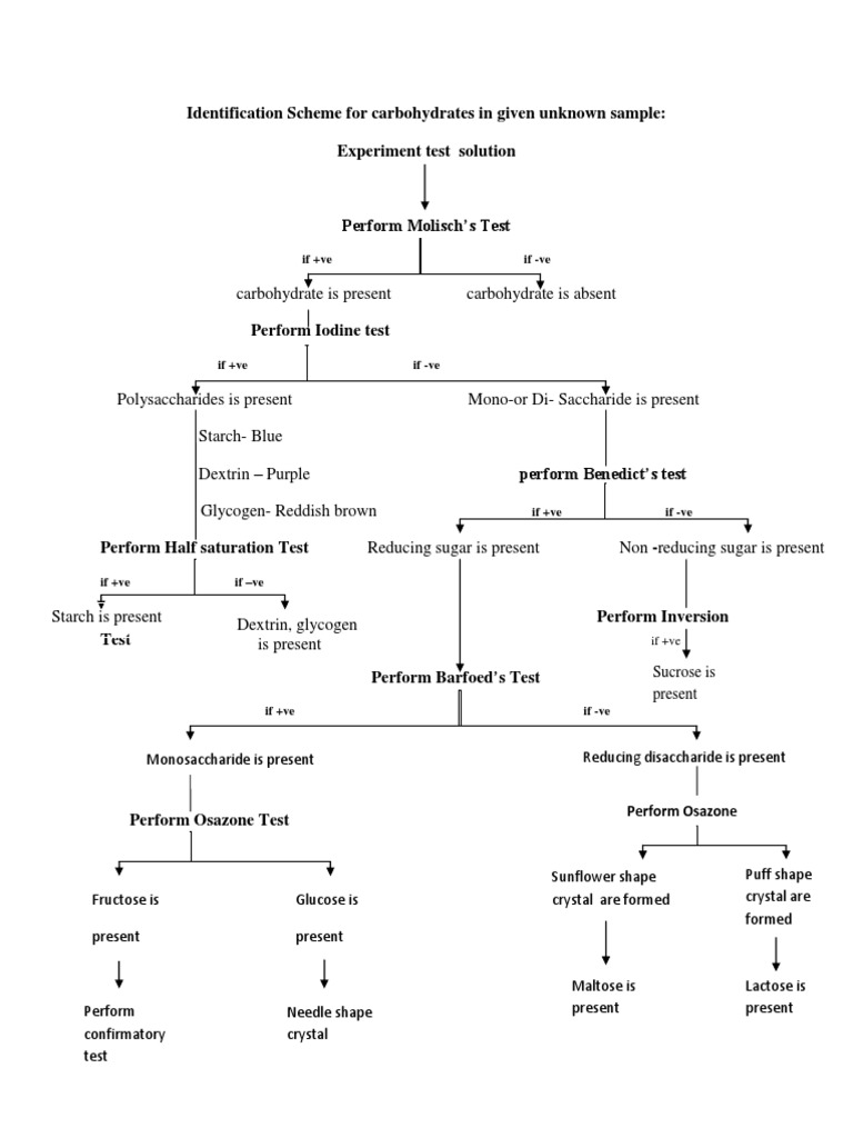 Carbohydrate Identification Flowchart: A Visual Guide to Qualitative ...